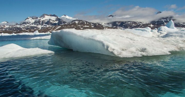 El Ártico perderá todo su hielo por primera vez en los próximos 20 años