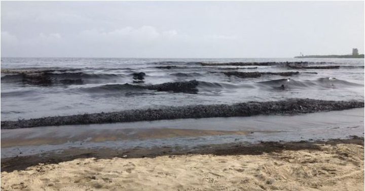 Una mancha de petróleo cubre las playas del Palito en Carabobo